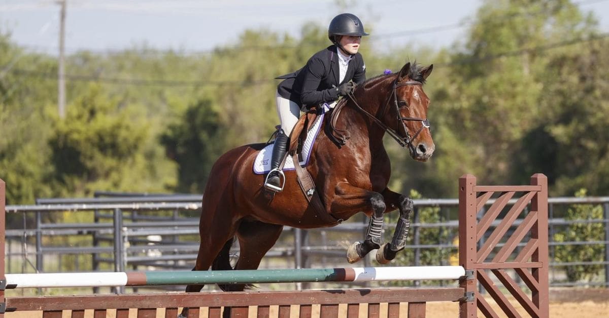 TCU Equestrian: Good, Better, Best - Sports Illustrated TCU Killer ...