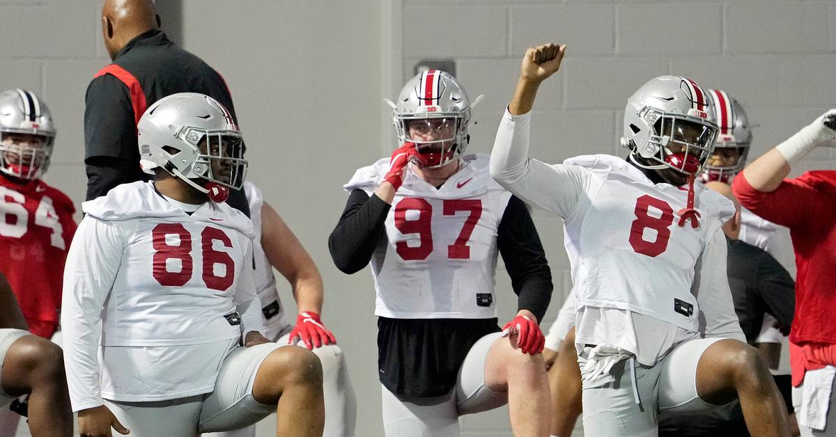 A Closer Look at New Bearcats Defensive End Noah Potter - All Bearcats