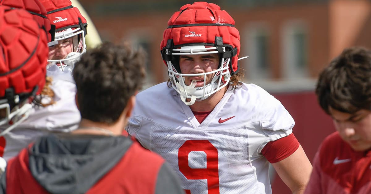 How freshman tight end Luke Hasz could be big key for Razorbacks ...