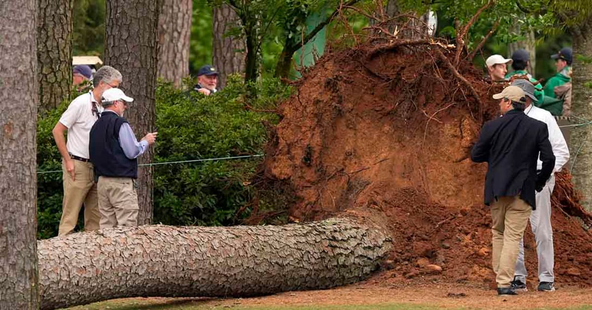 Three Trees Fall Near 17th Hole at Augusta National, No One Injured ...