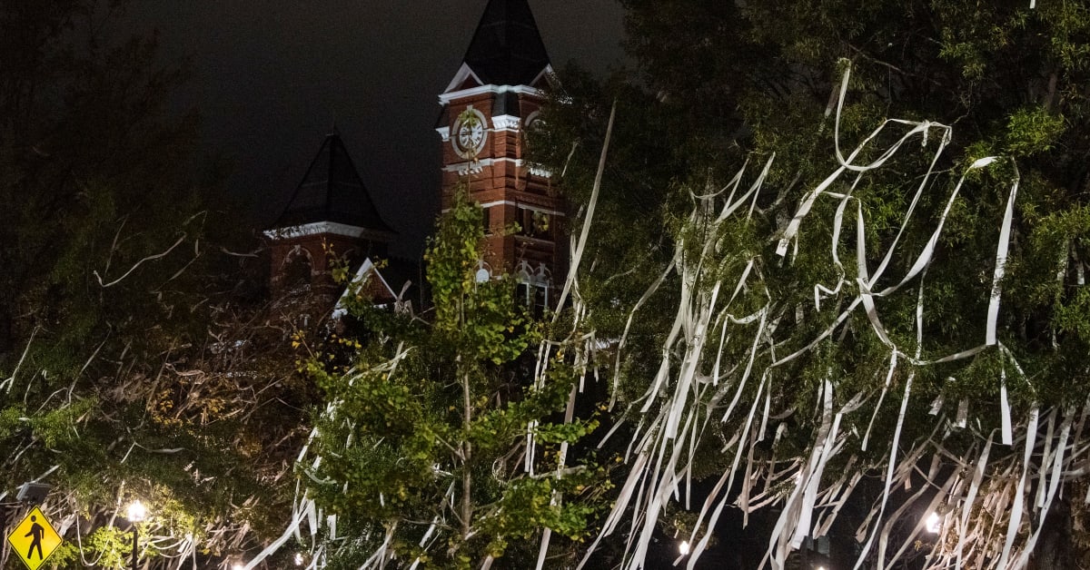 Auburn announces Toomer's Oaks can finally be rolled this football ...