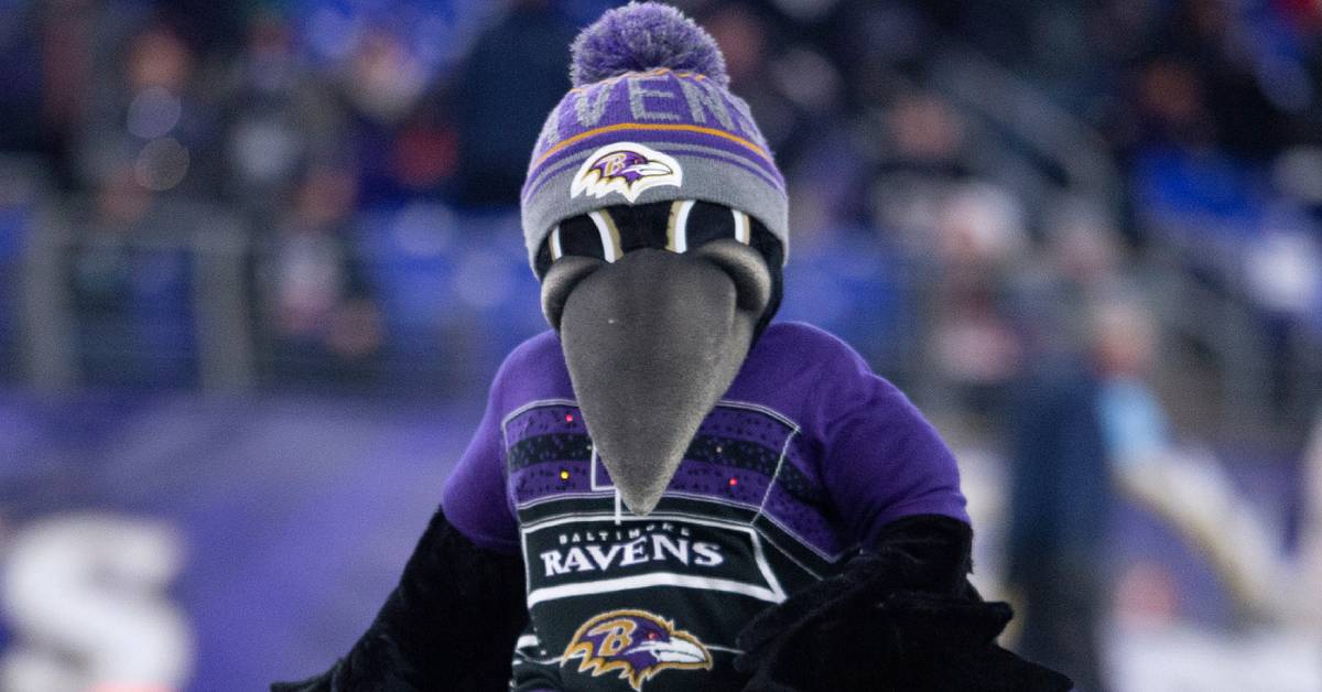 Ravens Mascot Poe Suffers Season-Ending Injury - Sports Illustrated