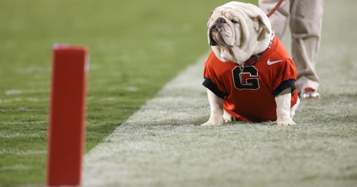 WATCH: Auburn attempts a fake punt deep in UGA territory - Sports ...