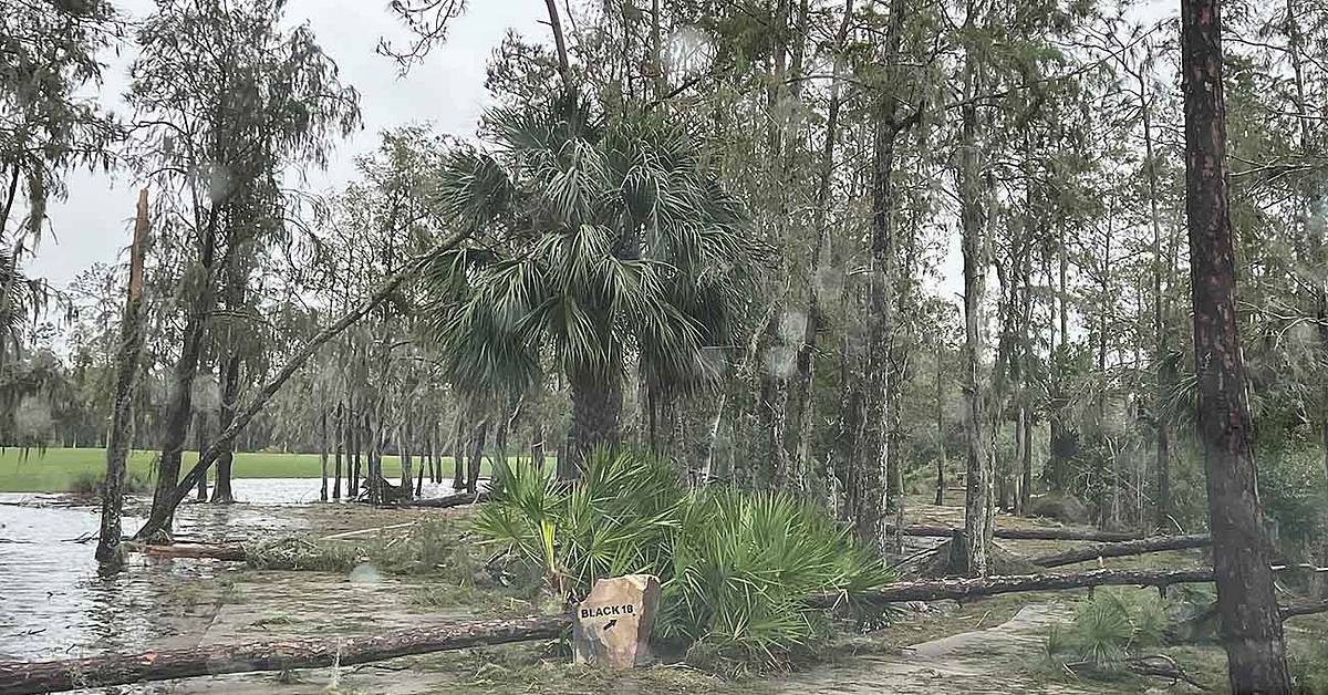 Florida Gulf Coast golf courses are coming back after Hurricane Ian ...