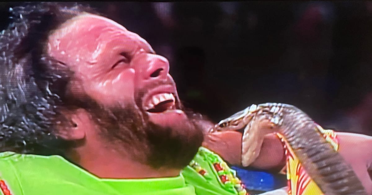 The Inside Story of 'Macho Man' Randy Savage Taking a Snake Bite Is ...