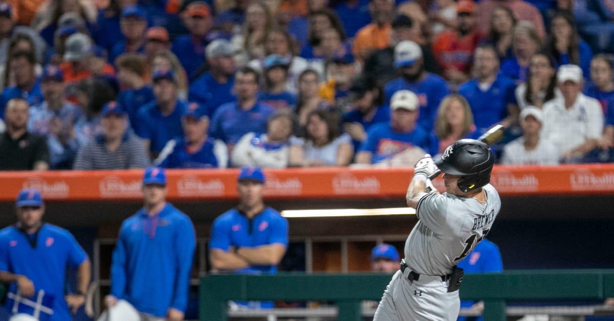 Dylan Brewer Off To Blazing Hot Start For South Carolina Baseball ...