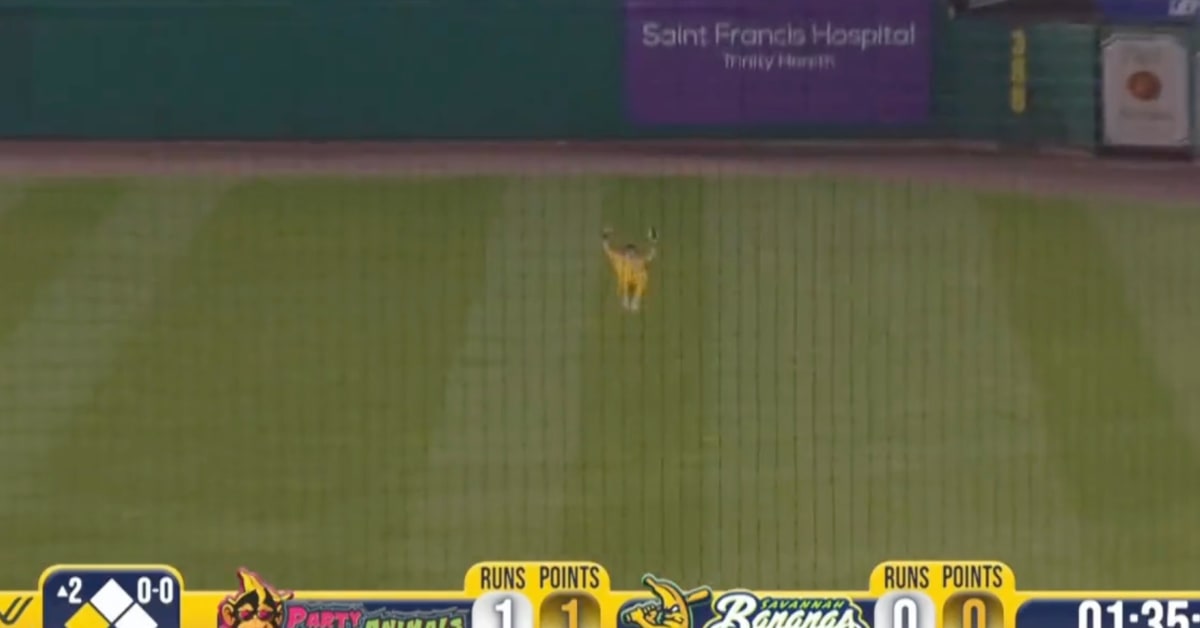 Baseball Fans Were Amazed by Backflip Catch by Savannah Bananas Center ...