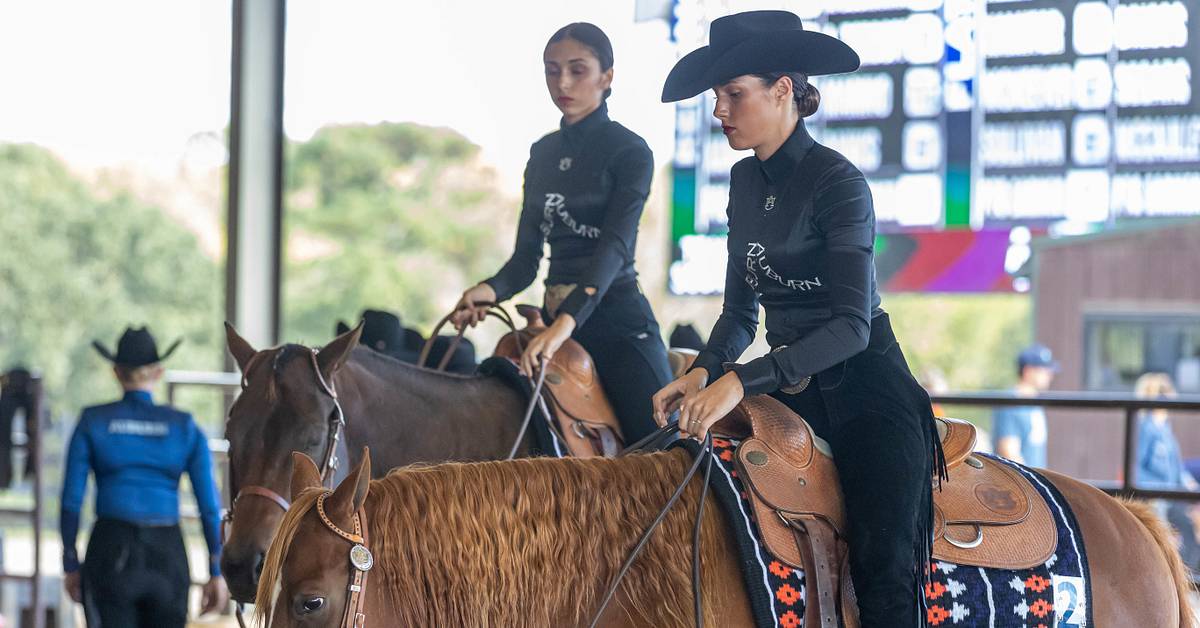 Auburn Equestrian Begins Its New Season, and a New Era - Sports ...