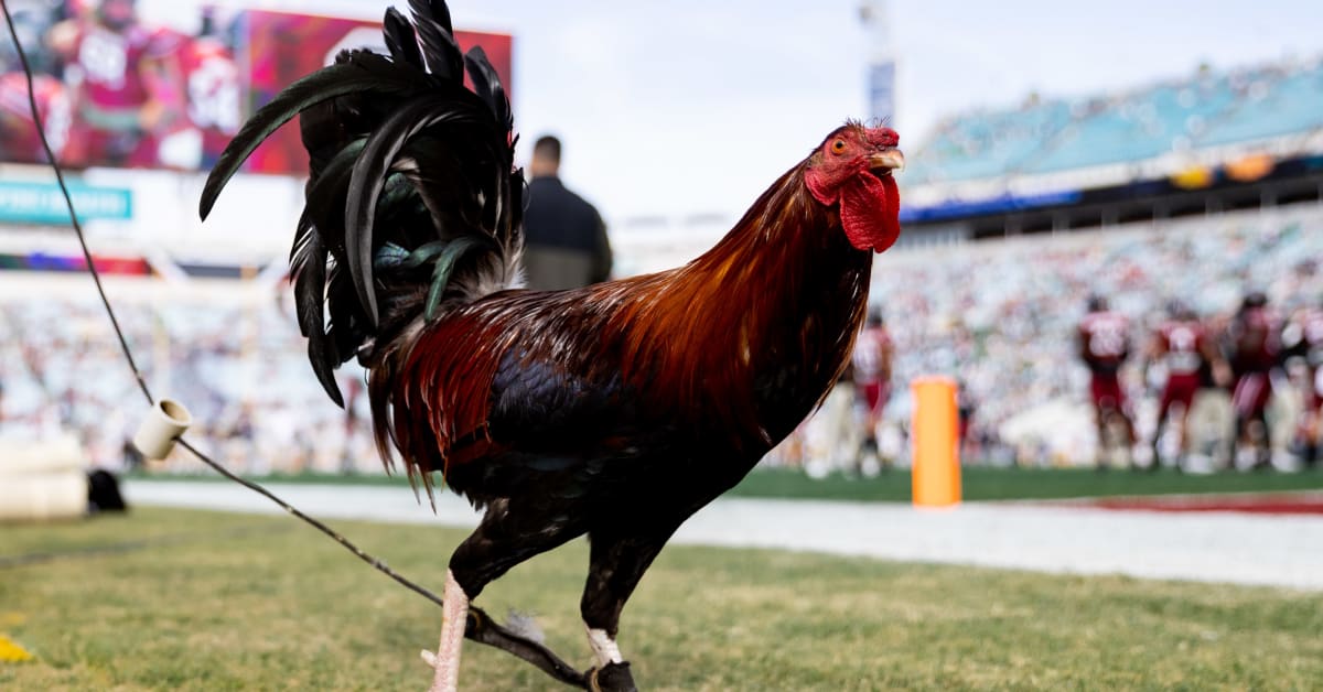 Zayden Walker Scheduled To Visit South Carolina's Football Program ...