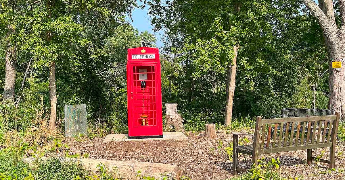 Bill Murray’s Childhood Golf Course Is Coming Back to Life - Sports ...