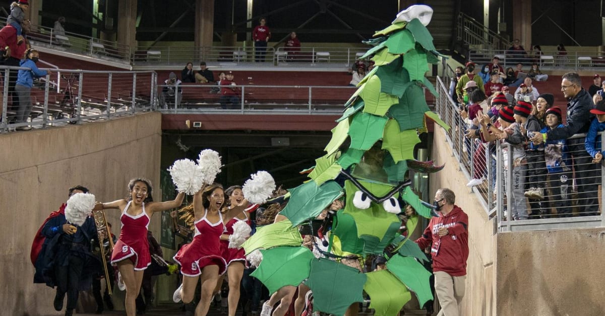 Stanford Tree Pens Thoughtful Message After Pop-Tarts Bowl Mascot Is ...