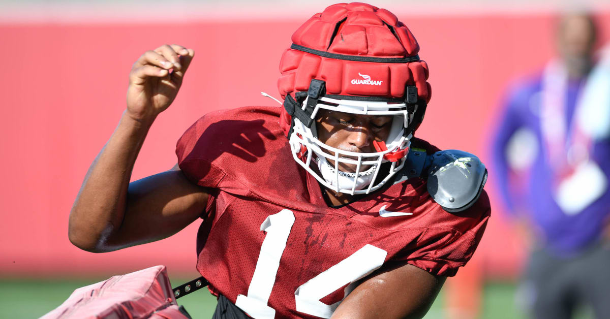 Razorbacks' transfer from Georgia Tech Jordan Domineck settles into ...