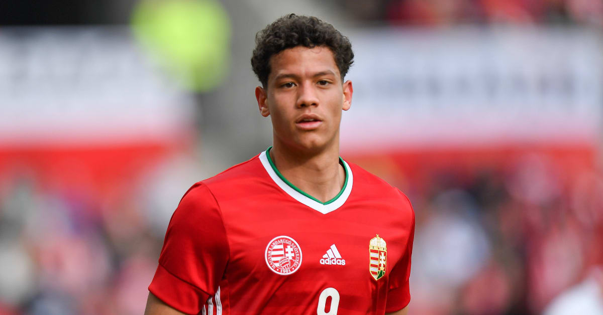 Sunderland miss out on Andras Nemeth as Hamburg agree deal - Sports ...