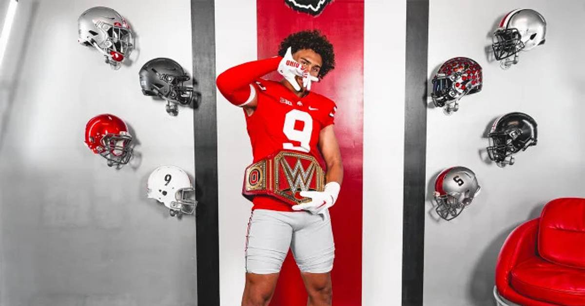 Ohio State Buckeyes Land Commitment From Northwestern Transfer LB Nigel ...