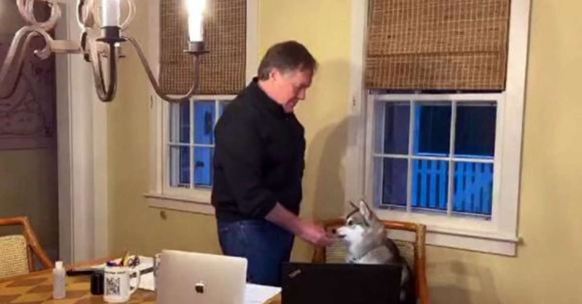 Belichick's Best: Patriots Trade More, Better Than Any Team During NFL ...