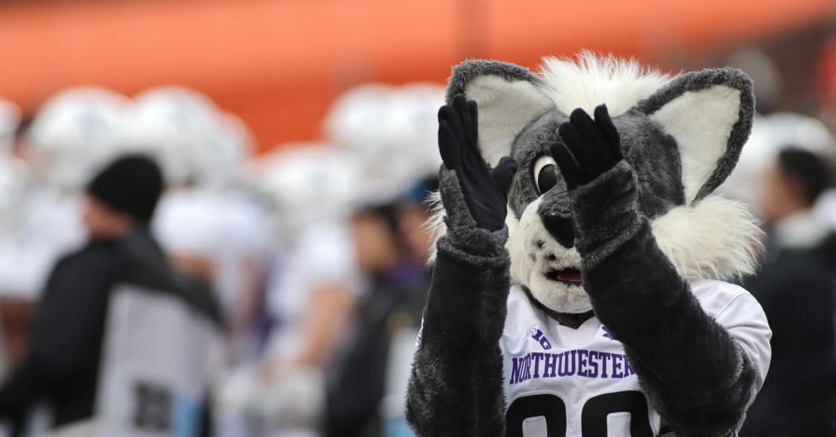 Northwestern University Mascot Name