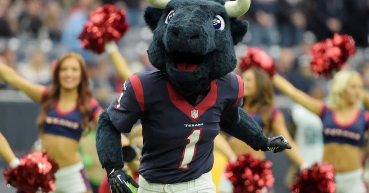 Houston Texans Mascot Toro Wins Two Awards At NFL Mascot Summit ...