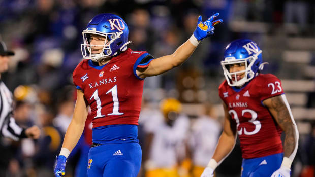 Luke Grimm - Blue Wings Rising