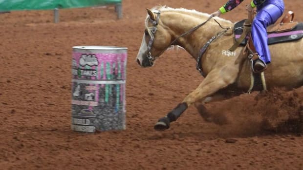 Adios Pantalones Attempting Incredible Feat Few Other Stallions Have ...