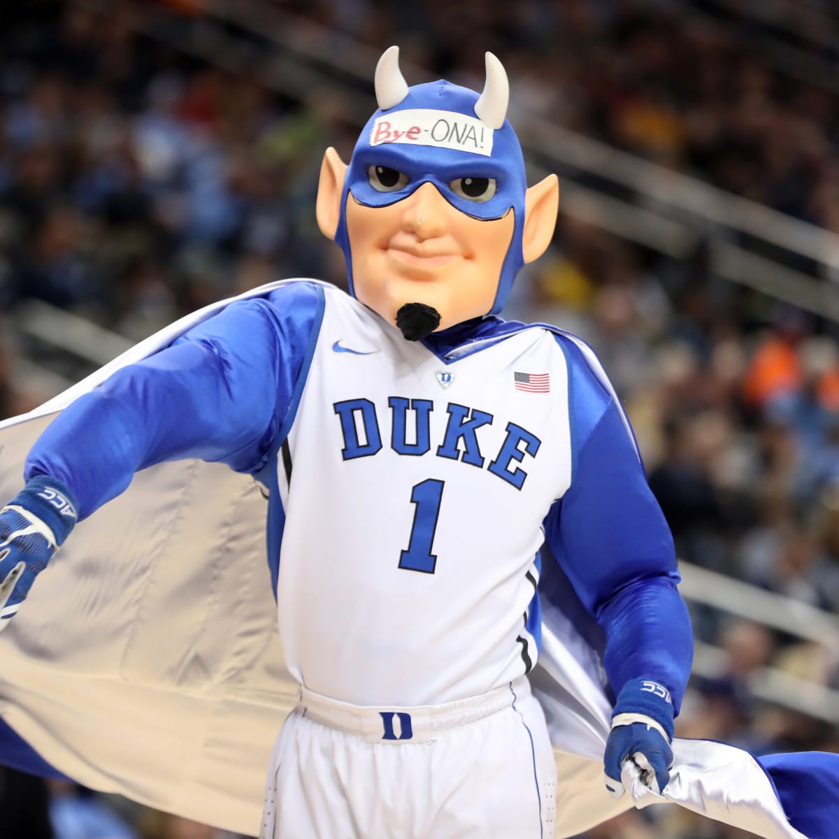 Duke Blue Devil | atelier-yuwa.ciao.jp