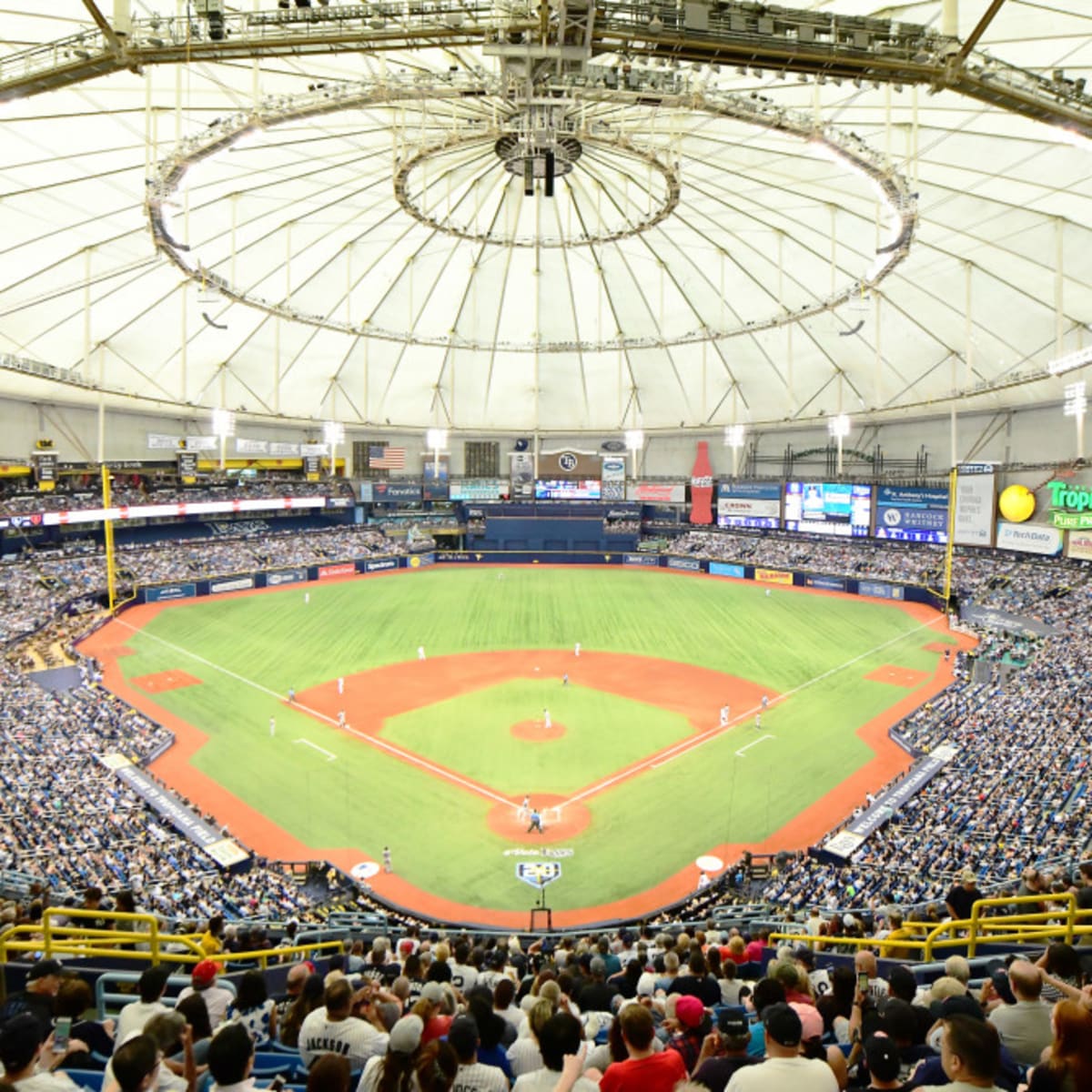 Tropicana Field Seating | Cabinets Matttroy