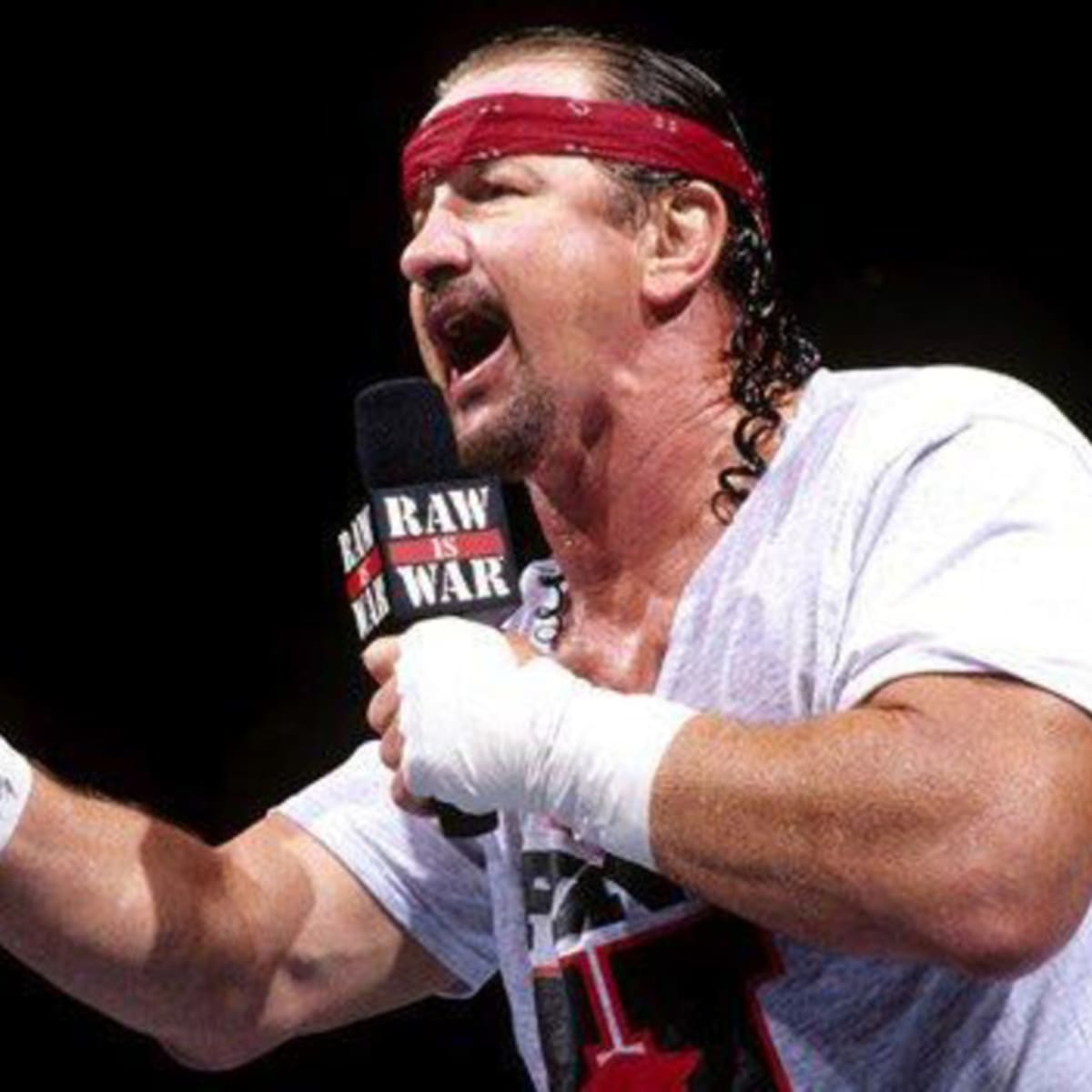 Terry Funk revealed to be suffering from dementia; in assisted living ...