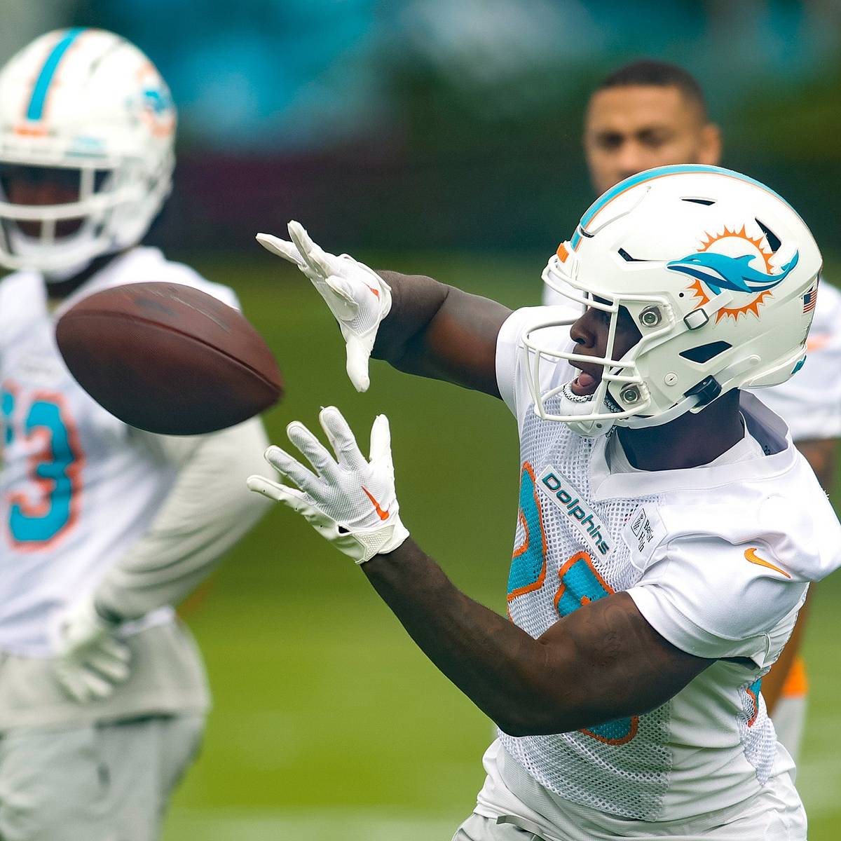 Sean Smith Dolphins 2022