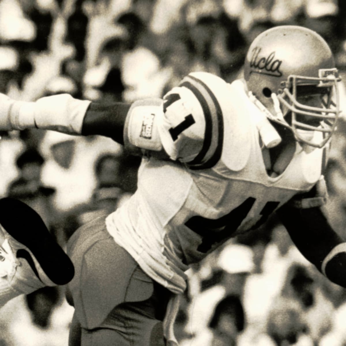 Ken Norton Jr Ucla