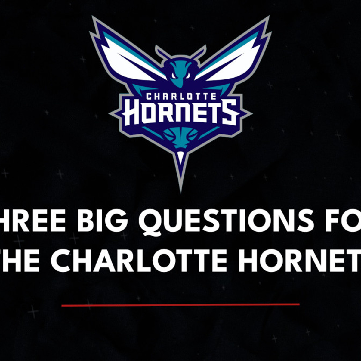 Charlotte Hornets Logo 2022