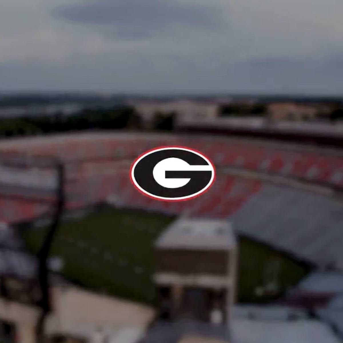 Georgia Bulldogs Stadium Wallpaper