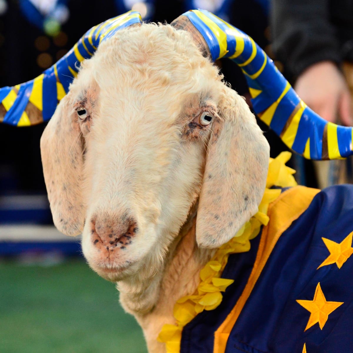 Bans - Page 6 - WAFF - World Armed Forces Forum.