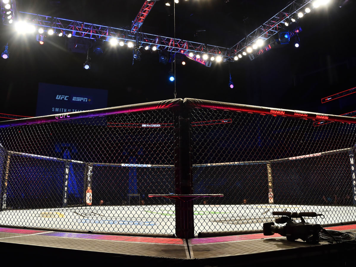 Ufc Fighting Cage