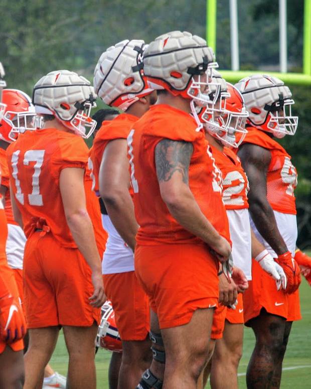 10 Unusual Facts About the Clemson Tigers-South Carolina Gamecocks ...