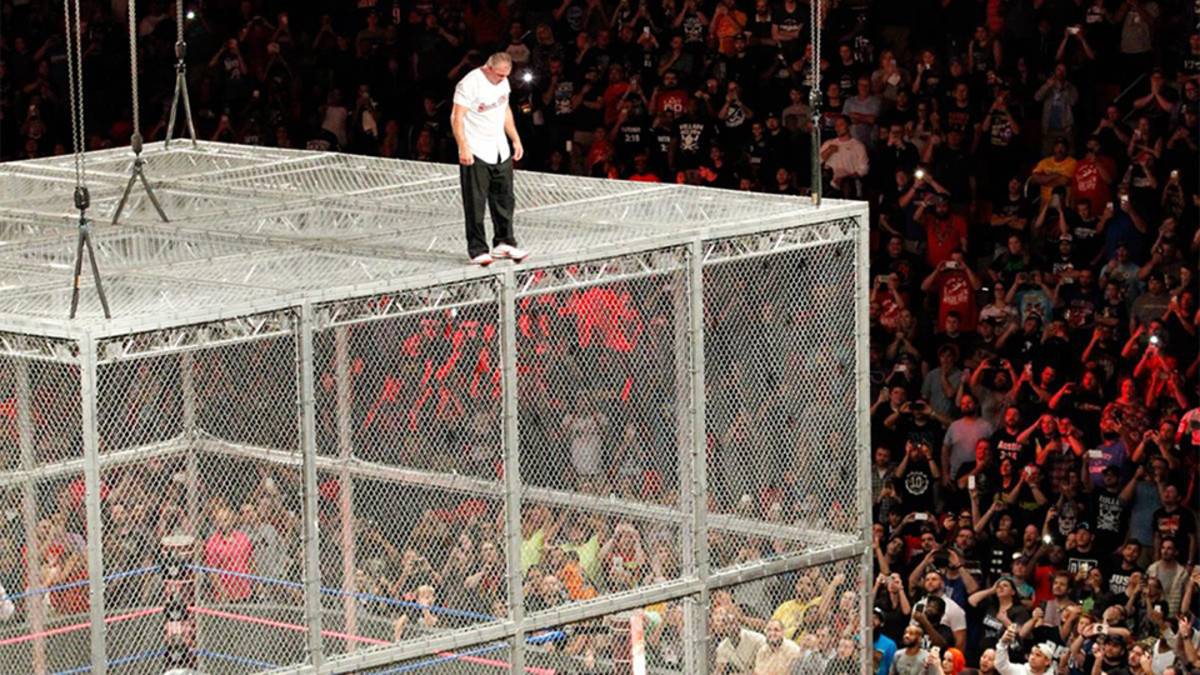 Wwe Wrestling News Shane Mcmahons Hell In A Cell Stunt