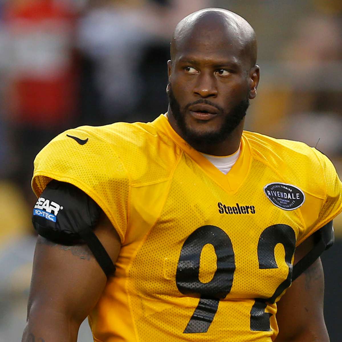 james harrison stats