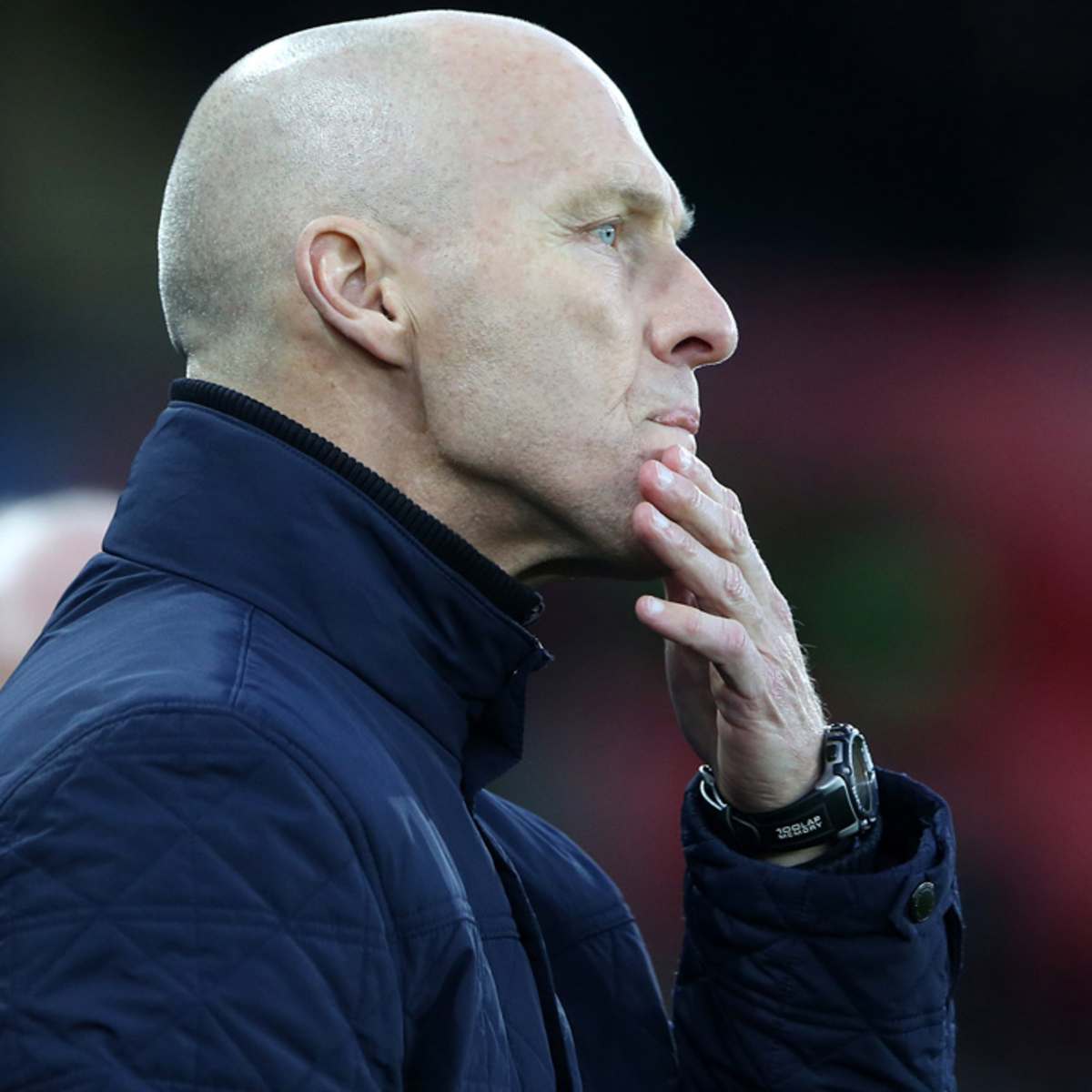 bob bradley