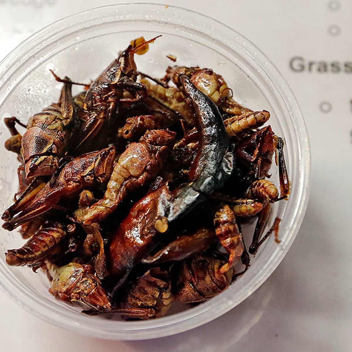 fried crickets seattle mariners