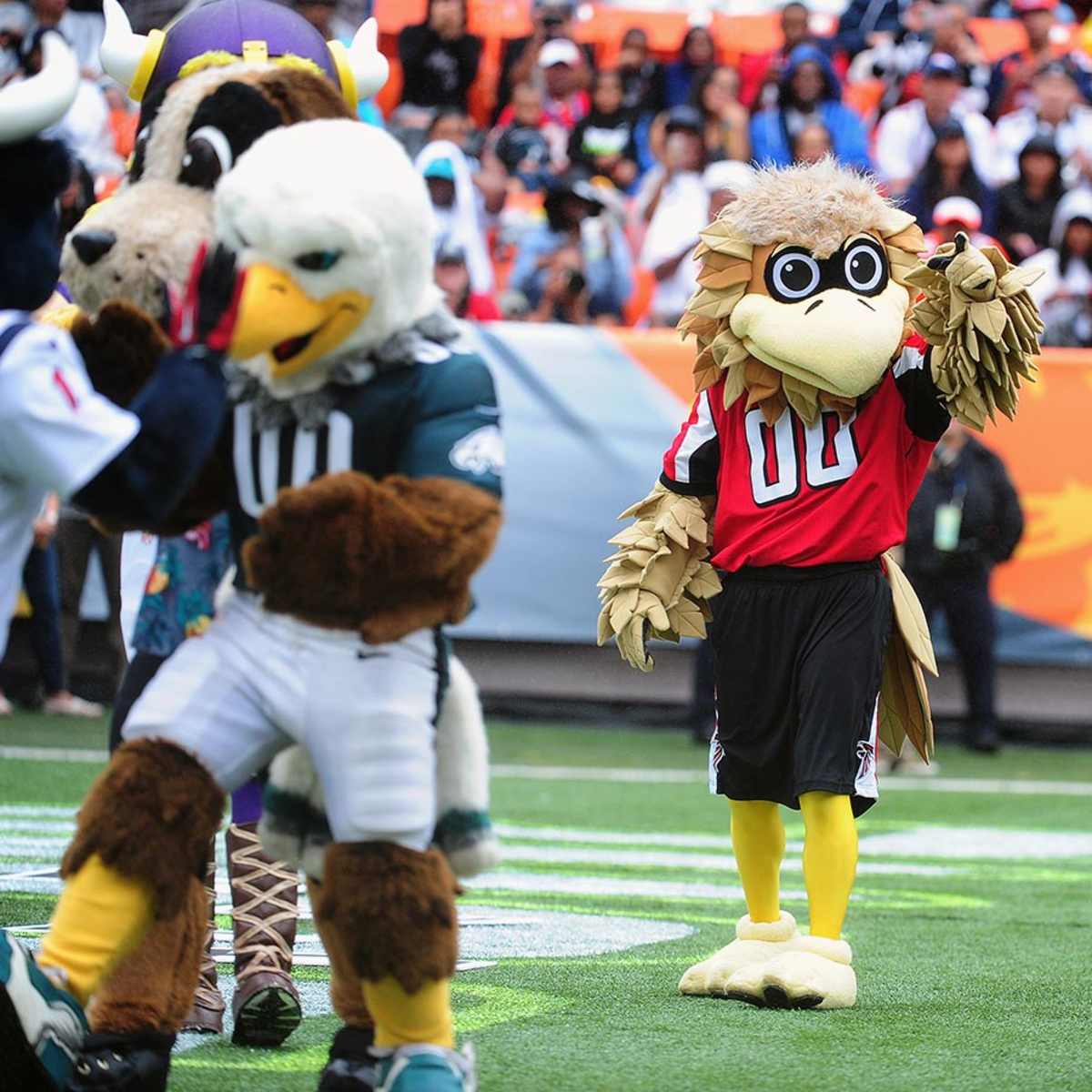 falcons mascot
