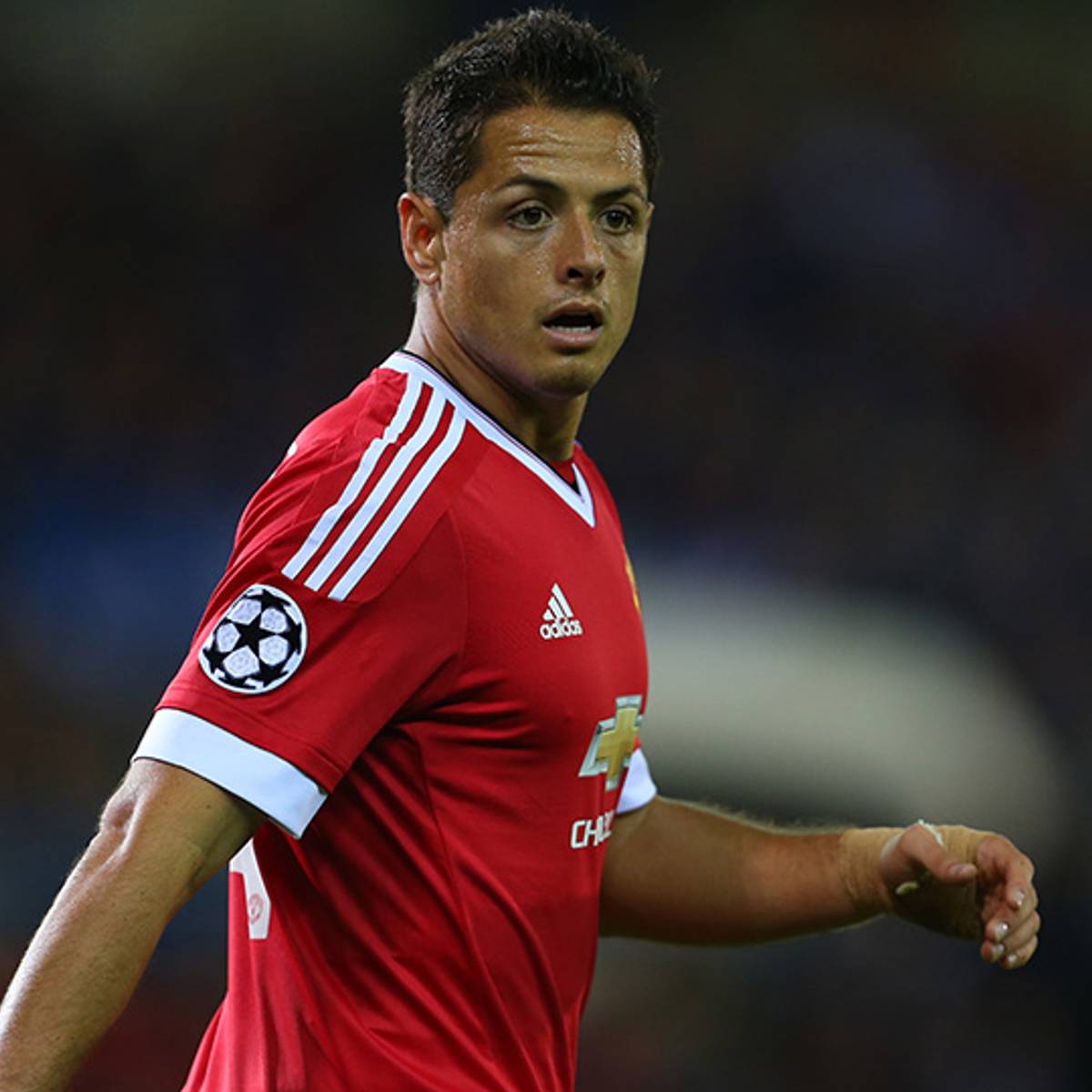 Chicharito 2015