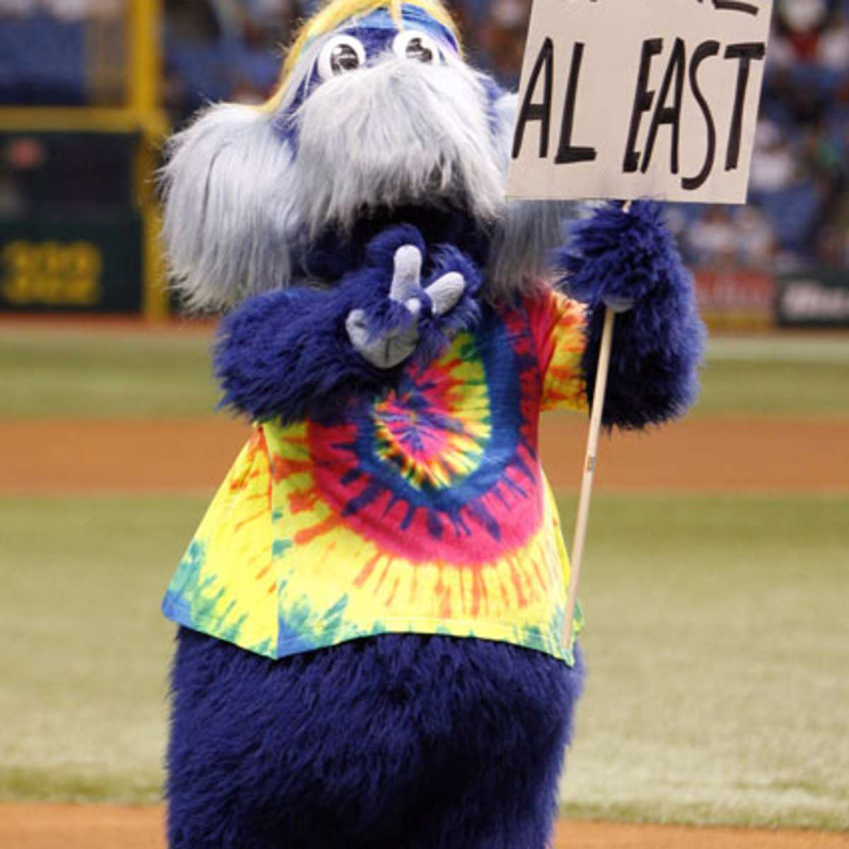 rays mascot raymond