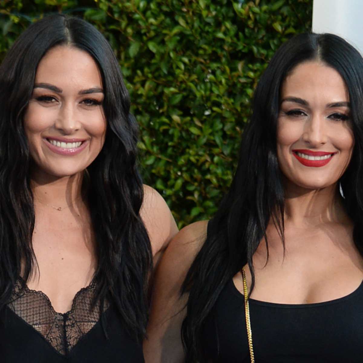 brie bella without makeup