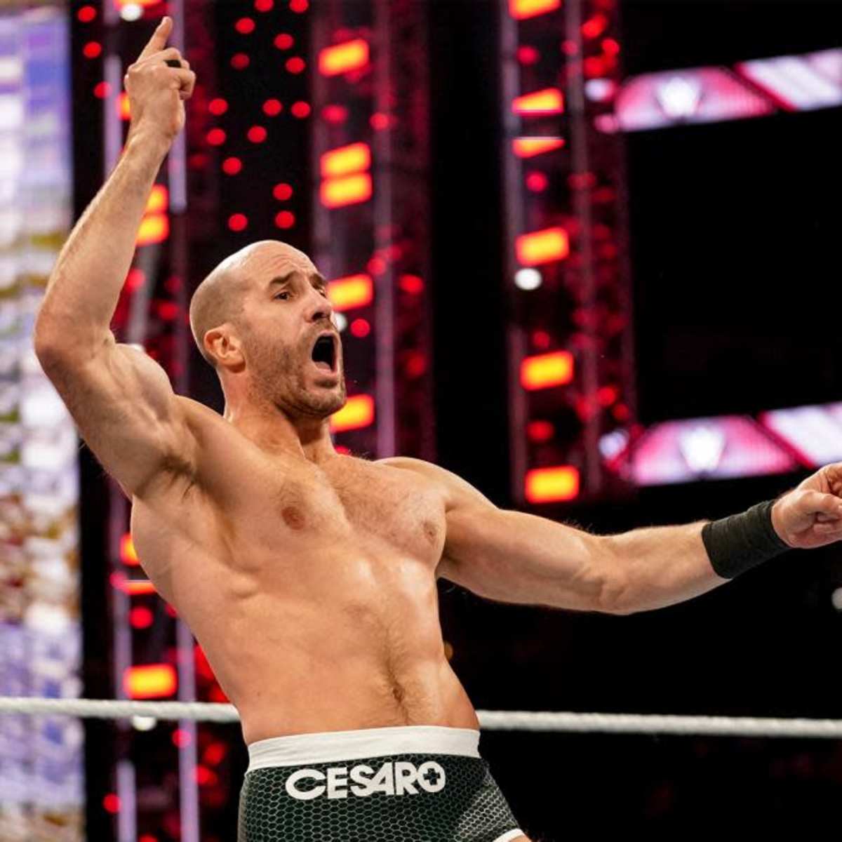 cesaro body