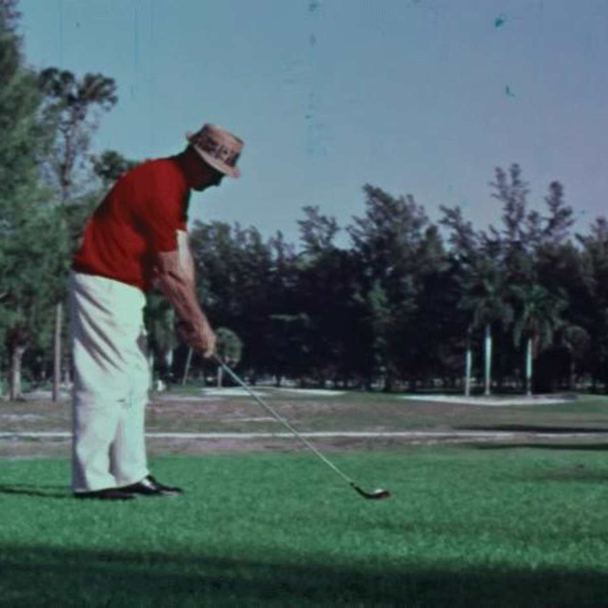 perfect golf swing example