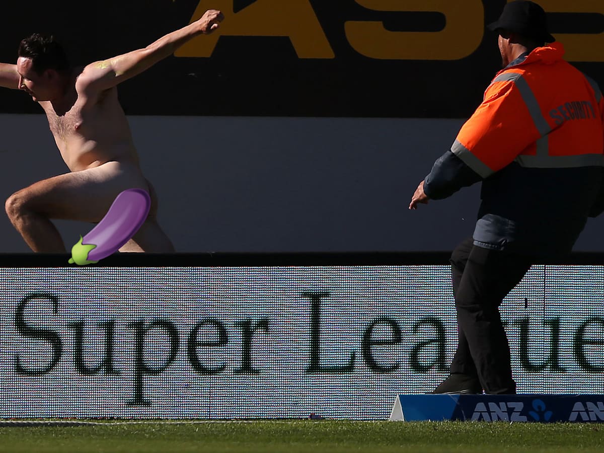 streaker in cricket
