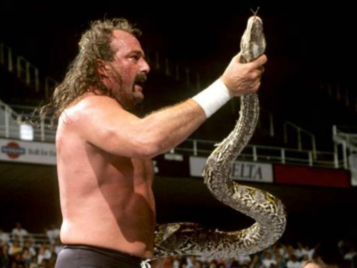 biggest snakes documentary