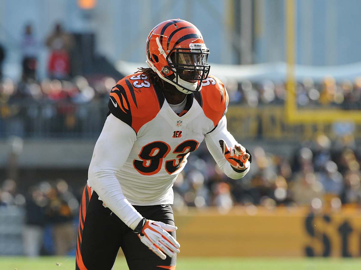 michael johnson bengals