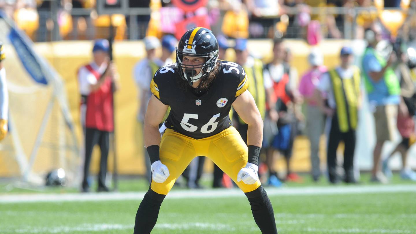 Steelers' Anthony Chickillo Arrested for Domestic Dispute