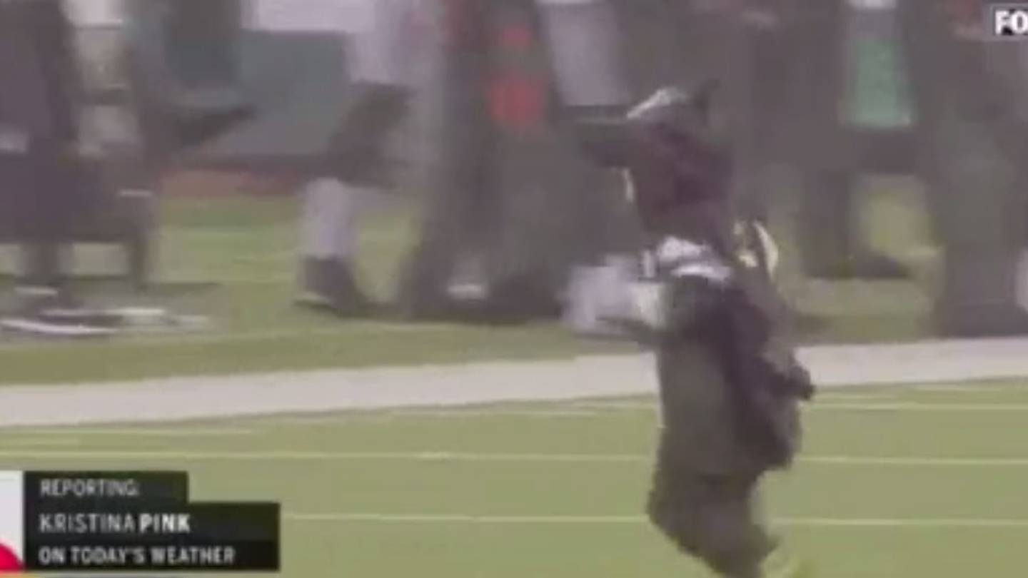 Watch: Batman Runs on the Field During Jets-Falcons