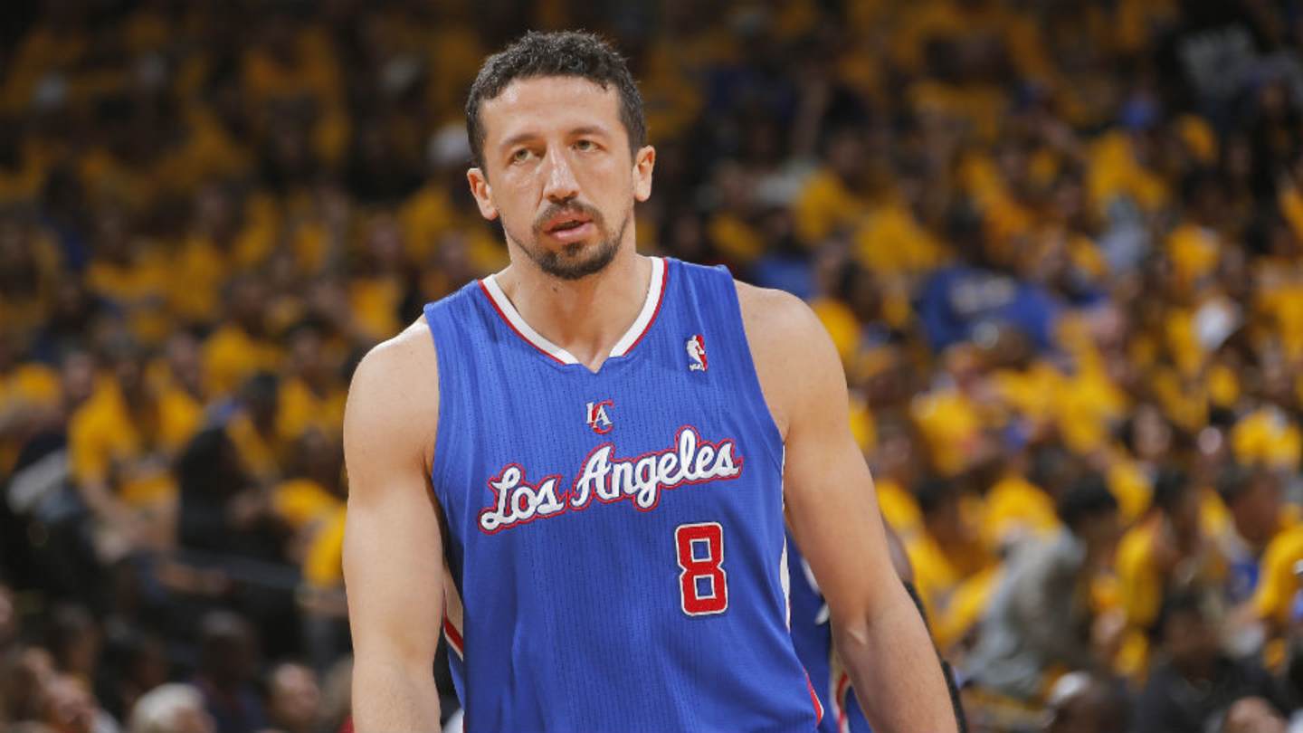 hedo turkoglu spurs