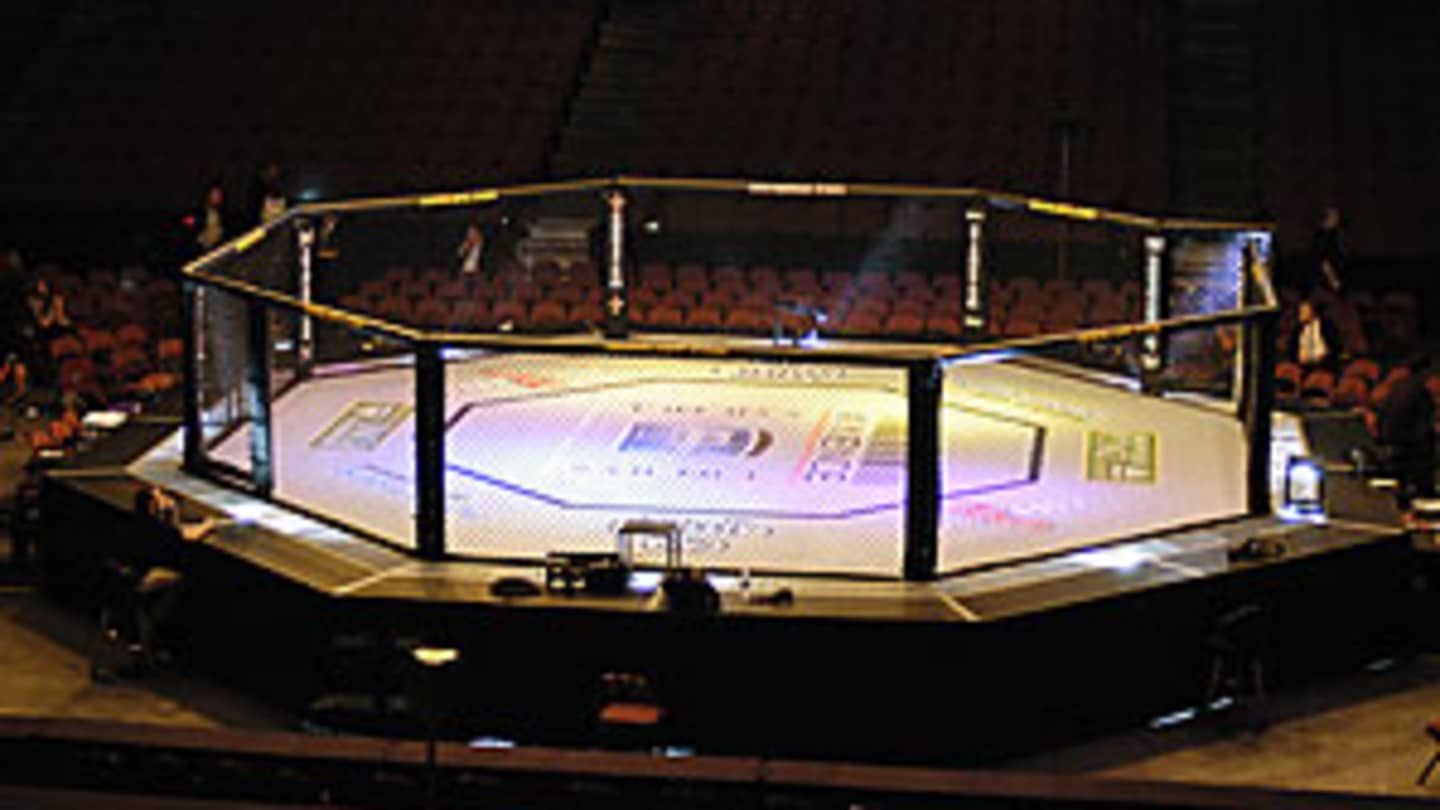 inside ufc octagon